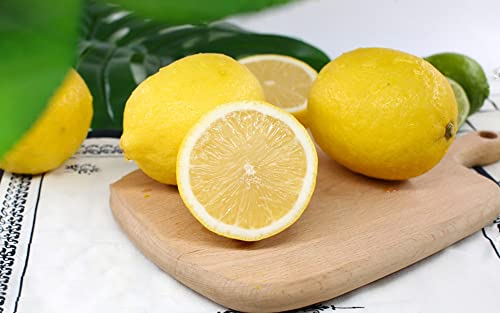 30pcs Lemon Tree Seeds for Planting, Non-GMO Heirloom and Organic, High Survival Rate Fruit for Home Garden (Lemon Seeds)