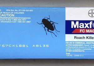 2 Tubes Maxforce FC Magnum Cockroach German Roach Pest Control Gel Bait 33 gram per tube w/ 1 Plunger ~~ 5 Times Stronger then Regular Maxforce FC Roach Gel ~~ Mata Cucarachas! THE NEW MAGNUM PACKAGED IN BLUE Garden, Lawn, Supply, Maintenance