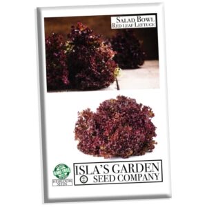 salad bowl red leaf lettuce seeds for planting, 1000+ heirloom seeds per packet, (isla’s garden seeds), non gmo seeds, botanical name: lactuca sativa