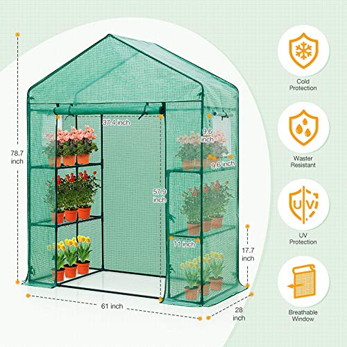 EAGLE PEAK 61'' x 28'' x 79'' Walk-in Greenhouse, 2 Tier 4 Shelves Portable Plant Gardening Greenhouse, Front Roll-Up Zipper Entry Door and 2 Roll-Up Side Windows, Green