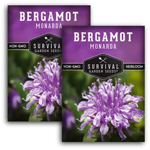 survival garden seeds – bergamot herb (bee balm) seed for planting – 2 packs with instructions to plant and grow lavender monarda wildflowers in your home vegetable garden – non-gmo heirloom variety