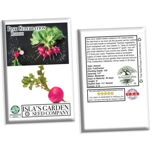 Pink Celebration Radish Seeds, 100+ Heirloom Seeds Per Packet, (Isla's Garden Seeds), Non GMO Seeds, Botanical Name: Raphanus sativus