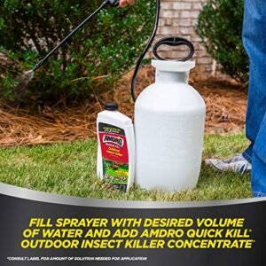 Amdro 100522992 Quick Kill Outdoor Insect Killer, 32 oz