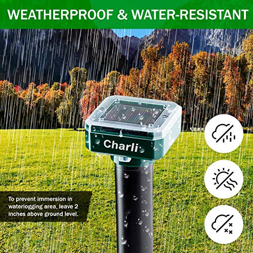 Charli New 8X Solar Sonic Mole Repellent Groundhog Repeller Gopher Deterrent Vole Chaser Snake Repellent Spikes Traps Rodents No Killing - Remove Burrowing Rodents (8) (8)