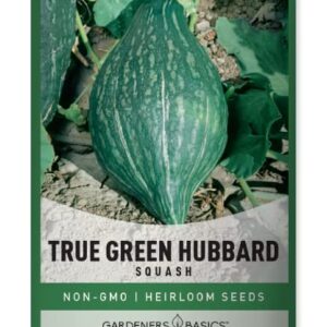 True Green Hubbard Squash Seeds for Planting - Winter Squash Heirloom, Non-GMO Vegetable Squash Variety- 5 Grams Seeds Great for Summer Gardens by Gardeners Basics