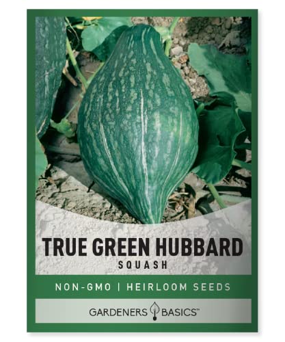 True Green Hubbard Squash Seeds for Planting - Winter Squash Heirloom, Non-GMO Vegetable Squash Variety- 5 Grams Seeds Great for Summer Gardens by Gardeners Basics