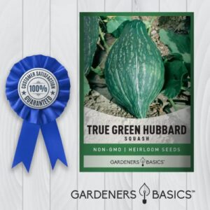 True Green Hubbard Squash Seeds for Planting - Winter Squash Heirloom, Non-GMO Vegetable Squash Variety- 5 Grams Seeds Great for Summer Gardens by Gardeners Basics