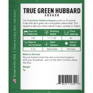 True Green Hubbard Squash Seeds for Planting - Winter Squash Heirloom, Non-GMO Vegetable Squash Variety- 5 Grams Seeds Great for Summer Gardens by Gardeners Basics