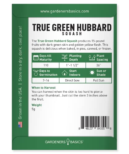 True Green Hubbard Squash Seeds for Planting - Winter Squash Heirloom, Non-GMO Vegetable Squash Variety- 5 Grams Seeds Great for Summer Gardens by Gardeners Basics