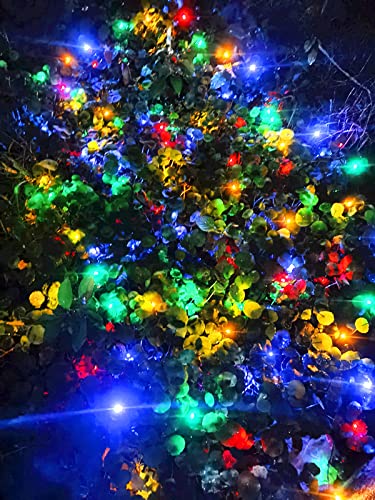 TAYNGUANG Solar Fairy Lights Outdoor, 33ft 100 LED Solar Powered Garden Lights Outside 8 Modes Waterproof Solar String Lights for Trees Patio Fence Wedding Party Christmas Decor