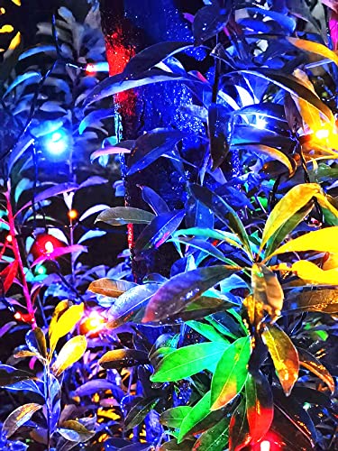 TAYNGUANG Solar Fairy Lights Outdoor, 33ft 100 LED Solar Powered Garden Lights Outside 8 Modes Waterproof Solar String Lights for Trees Patio Fence Wedding Party Christmas Decor