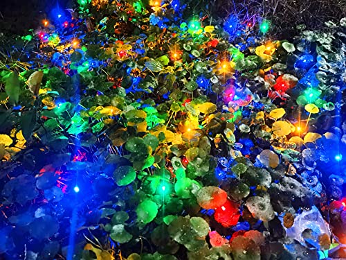 TAYNGUANG Solar Fairy Lights Outdoor, 33ft 100 LED Solar Powered Garden Lights Outside 8 Modes Waterproof Solar String Lights for Trees Patio Fence Wedding Party Christmas Decor