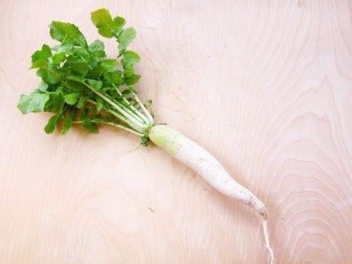 Japanese Minowase Daikon Radish (Raphanus sativus) White 1 Gram Seeds for Planting, Heirloom & Non GMO, Open Pollinated, Asian Vegetable Biennial, Fall/Spring Garden/Containers