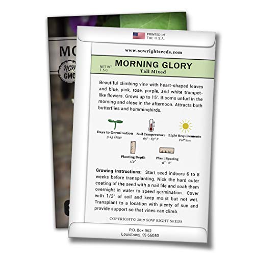 Sow Right Seeds Morning Glory Seeds - Full Instructions for Planting, Beautiful to Plant in Your Flower Garden; Non-GMO Heirloom Seeds; Wonderful Gardening Gifts (2)