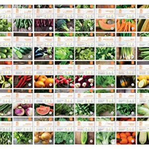 Bentley Seed Co. Set of 40 Vegetable Seeds for Planting - Gardening Seeds to Grow in a Garden or Indoors - Get your own Seeds for Planting Vegetables - Herb Seeds - Garden Seeds Vegetable Variety Pack