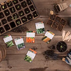 Bentley Seed Co. Set of 40 Vegetable Seeds for Planting - Gardening Seeds to Grow in a Garden or Indoors - Get your own Seeds for Planting Vegetables - Herb Seeds - Garden Seeds Vegetable Variety Pack