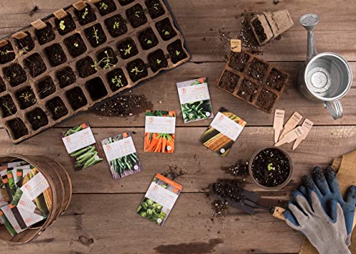 Bentley Seed Co. Set of 40 Vegetable Seeds for Planting - Gardening Seeds to Grow in a Garden or Indoors - Get your own Seeds for Planting Vegetables - Herb Seeds - Garden Seeds Vegetable Variety Pack