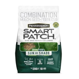 pennington smart patch sun and shade mix 10 lb