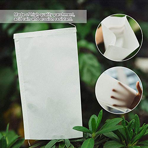 Yosoo Garden Pollination Parchment Bags, Used as s Bagging,Soaking Bag, Hybridization Bag, Pollination Bag (100 Pcs)