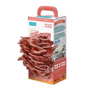 back to the roots organic pink mushroom grow kit, harvest gourmet mushrooms in 10 days