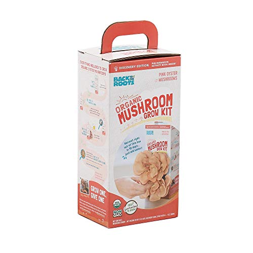 Back to the Roots Organic Pink Mushroom Grow Kit, Harvest Gourmet Mushrooms In 10 Days