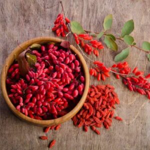 CHUXAY GARDEN Goji Seed, Goji Berry,Wolfberry 50 Seeds Perennial Non GMO Edible Fruit Healthy Food Gardening Gifts Easily Grow Deciduous Shrub