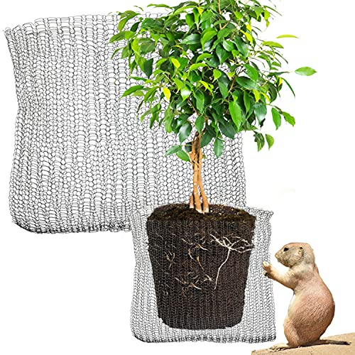 GiftExpress 15 Gallon Gopher and Vole Wire Speed Baskets, Plant Root Protector Gopher Baskets for Pests Repellent, Anti Gopher Baskets (2)