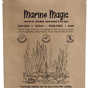 Seaweed Extract for Plants by Marine Magic | 100% Organic Soluble Seaweed Fertilizer Makes 128 Gallons (484 L) Kelp Liquid Feed for Plants