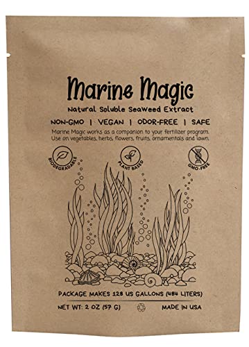 Seaweed Extract for Plants by Marine Magic | 100% Organic Soluble Seaweed Fertilizer Makes 128 Gallons (484 L) Kelp Liquid Feed for Plants