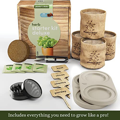 Herb Garden Starter Kit Deluxe - Culinary Herb Gardening Seeds for Indoor Home Planting with Wooden Gift Box - Perfect Kitchen Cooking Gift for Women or Men Gardener. Unusual Adult Plant Growing Gifts