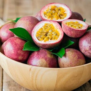 qauzuy garden 30 seeds passion fruit seeds passiflora passionflower vine maypop granadilla edulis seeds- organic non-gmo seeds- fast-growing &low-maintenance