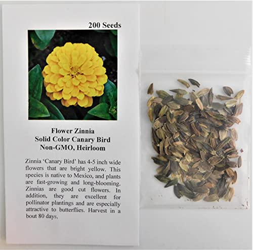 David's Garden Seeds Flower Zinnia Solid Color Canary Bird FBA-1158 (Yellow) 200 Non-GMO, Heirloom Seeds