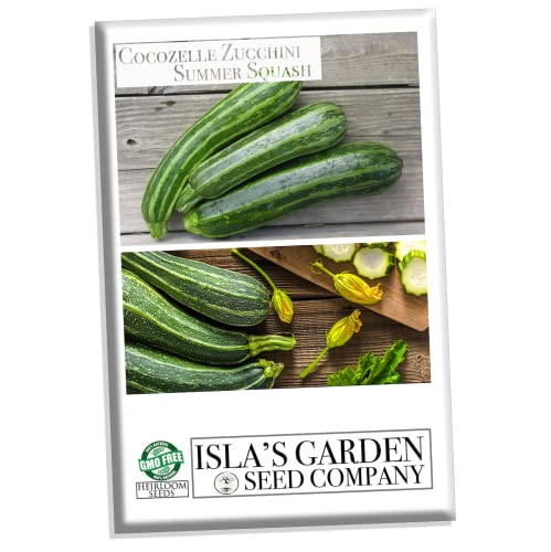 "Cocozelle Zucchini" Summer Squash Seeds for Planting, 50+ Heirloom Seeds Per Packet, (Isla's Garden Seeds), Non GMO Seeds, Botanical Name: Cucurbita Pepo, Good Home Garden Gift