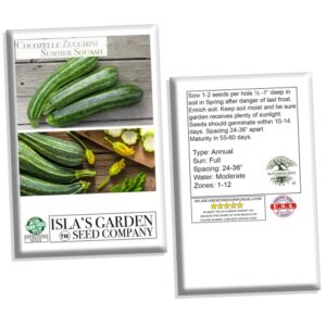 "Cocozelle Zucchini" Summer Squash Seeds for Planting, 50+ Heirloom Seeds Per Packet, (Isla's Garden Seeds), Non GMO Seeds, Botanical Name: Cucurbita Pepo, Good Home Garden Gift