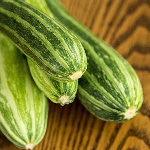 "Cocozelle Zucchini" Summer Squash Seeds for Planting, 50+ Heirloom Seeds Per Packet, (Isla's Garden Seeds), Non GMO Seeds, Botanical Name: Cucurbita Pepo, Good Home Garden Gift