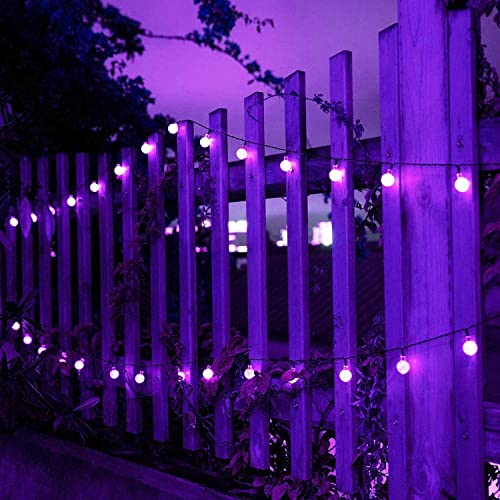 JMEXSUSS 2 Pack Solar String Lights Outdoor, Total 41.6 FT 60 LED Crystal Globe Christmas Lights, 8 Modes Solar Powered Halloween Lights for Patio Porch Garden Halloween Decorations(Purple)