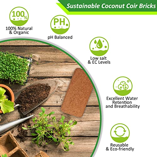 Riare 6pcs Organic Coco Coir Bricks Soil Blocks- 100% Natural Compressed Coco Peat Brick Coconut Fiber Substrate with Low EC& pH Balance, High Expansion Coco Coir Pith Coconut Husk for Garden