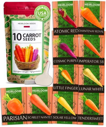 10 Heirloom Carrot Seeds - 2500+ Rainbow Carrot Seeds - High Germinating Vegetable Seeds Sourced in USA - Carrot Seeds for Planting Indoors or Outdoors Home Garden