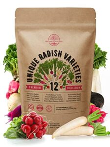 12 radish seeds variety pack for planting indoor & outdoors 2400+ heirloom non-gmo bulk radish garden seeds: daikon, cherry belle, french, breakfast, champion, purple, watermelon radishes seeds & more