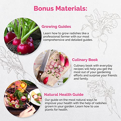 12 Radish Seeds Variety Pack for Planting Indoor & Outdoors 2400+ Heirloom Non-GMO Bulk Radish Garden Seeds: Daikon, Cherry Belle, French, Breakfast, Champion, Purple, Watermelon Radishes Seeds & More