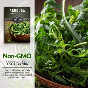 Survival Garden Seeds - Arugula Seed for Planting - Packet with Instructions to Plant and Grow Garden Rocket Green Leafy Vegetables in Your Home Vegetable Garden - Non-GMO Heirloom Variety - 1 Pack