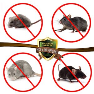 Mice & Rat Repellent. Peppermint Repellent for Mice/Mouse, Rats & Rodents. Natural Spray for Indoor & Outdoor Use. 128 OZ Gallon Trigger Sprayer Ready to Use