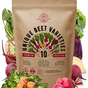 10 Rare Beet Seeds Variety Pack for Planting Indoor & Outdoors 1000+ Heirloom Non-GMO Bulk Beets Gardening Seeds: Chioggia, Detroit Dark Red, Sugar, Cylindra, Golden, Bulls Blood, White Albino & More