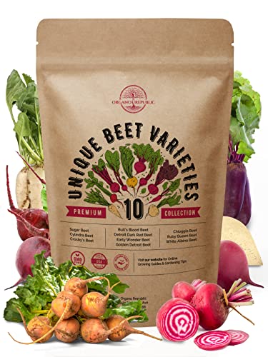 10 Rare Beet Seeds Variety Pack for Planting Indoor & Outdoors 1000+ Heirloom Non-GMO Bulk Beets Gardening Seeds: Chioggia, Detroit Dark Red, Sugar, Cylindra, Golden, Bulls Blood, White Albino & More