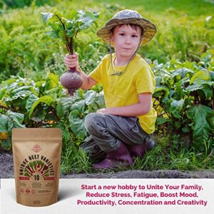 10 Rare Beet Seeds Variety Pack for Planting Indoor & Outdoors 1000+ Heirloom Non-GMO Bulk Beets Gardening Seeds: Chioggia, Detroit Dark Red, Sugar, Cylindra, Golden, Bulls Blood, White Albino & More