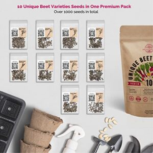 10 Rare Beet Seeds Variety Pack for Planting Indoor & Outdoors 1000+ Heirloom Non-GMO Bulk Beets Gardening Seeds: Chioggia, Detroit Dark Red, Sugar, Cylindra, Golden, Bulls Blood, White Albino & More