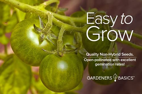 Green Zebra Tomato Seeds for Planting Heirloom Non-GMO Seeds for Home Garden Vegetables Makes a Great Gift for Gardening by Gardeners Basics