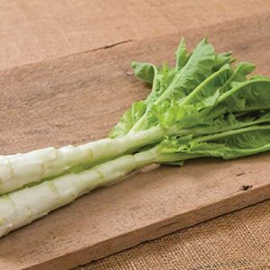 david’s garden seeds celtuce spring tower fba-3272 (green) 100 non-gmo, heirloom seeds