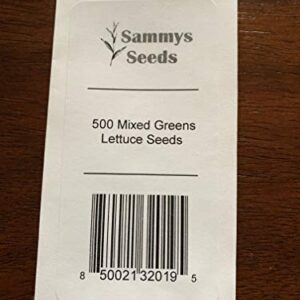 500 Gourmet Mixed Green Lettuce Seeds | Non-GMO | Fresh Garden Seeds