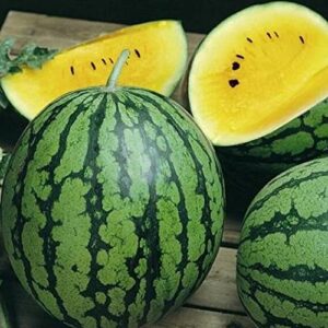 david’s garden seeds fruit watermelon yellow petite 9832 (yellow) 25 non-gmo, heirloom seeds